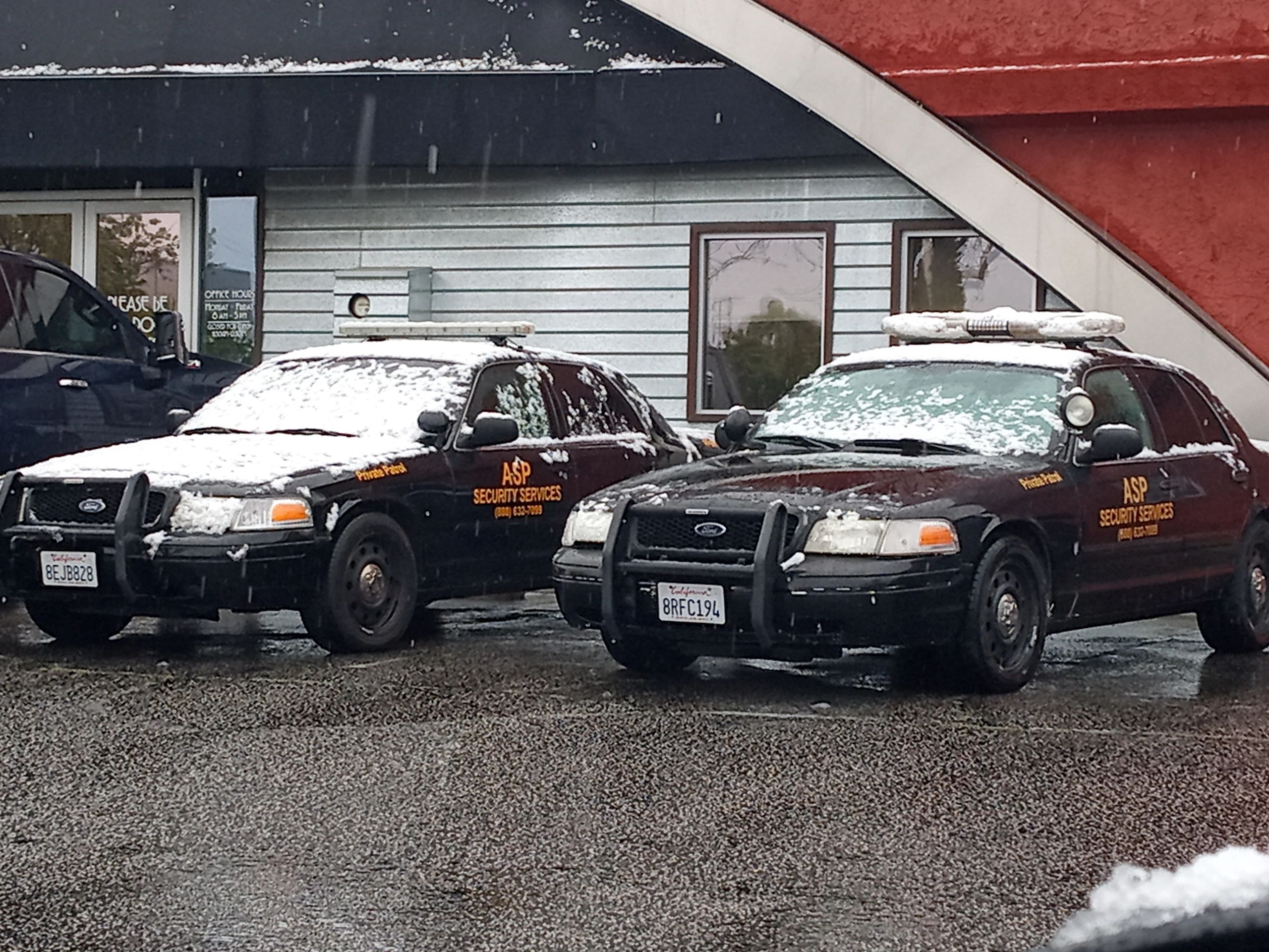 About Our Professional Security Company | ASP